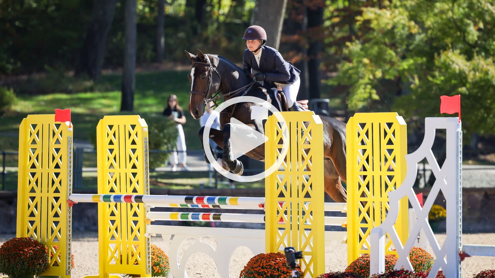 Platinum Performance/USEF Talent Search