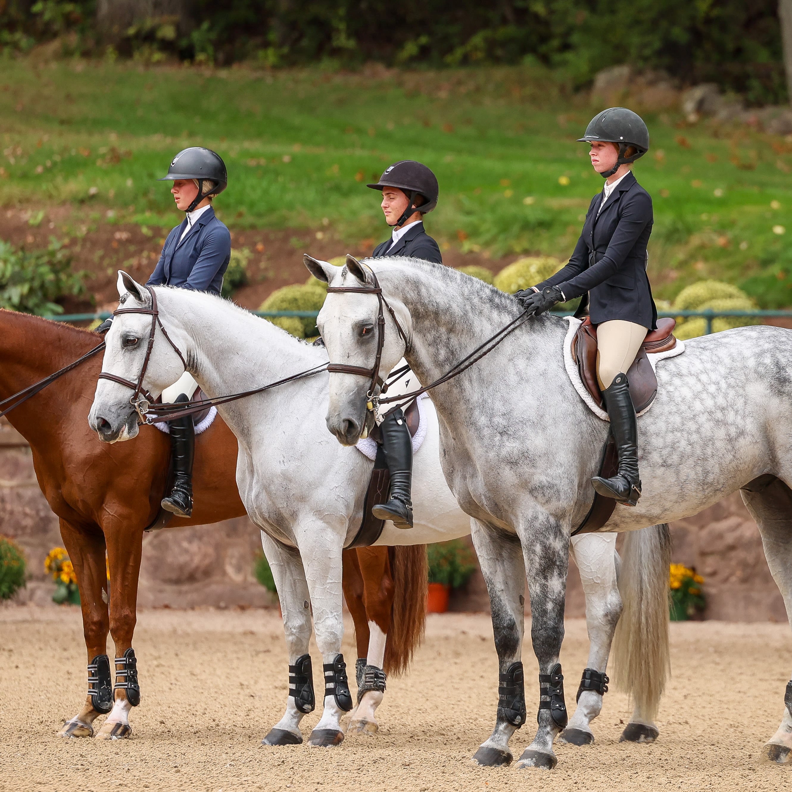 Platinum Performance/USEF Talent Search